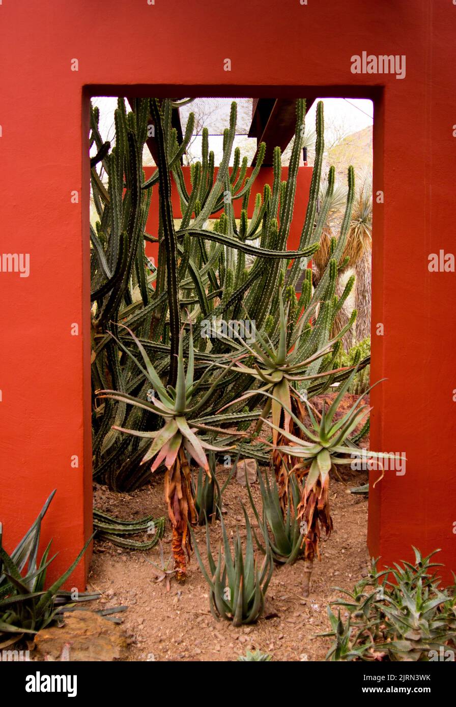 A red square arch with green plants and cacti in a vertical shot Stock ...