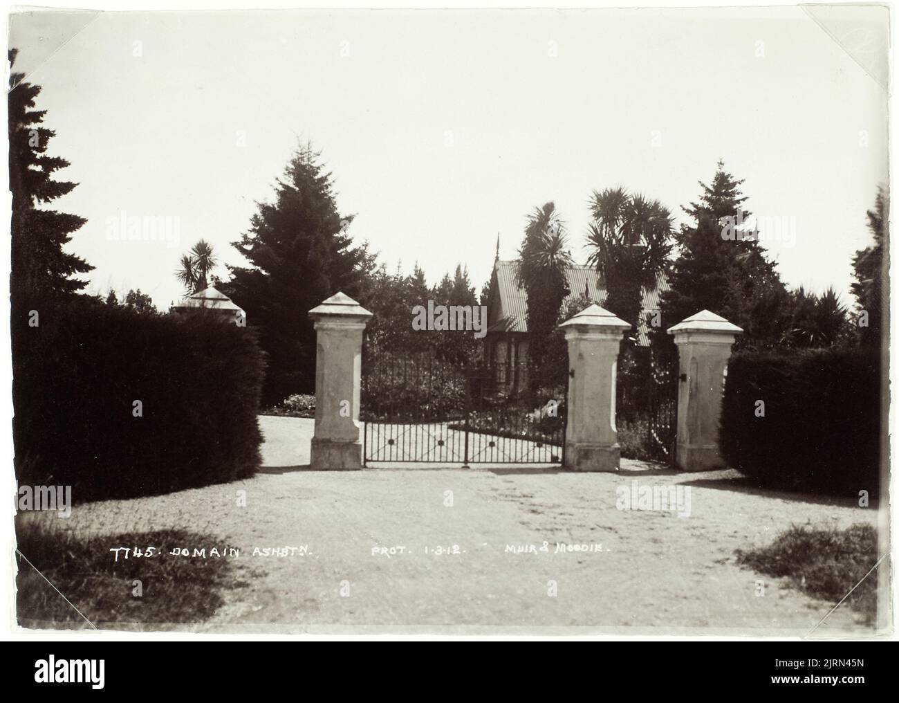 Domain, Ashburton, 1912, Ashburton, by Muir & Moodie Stock Photo - Alamy