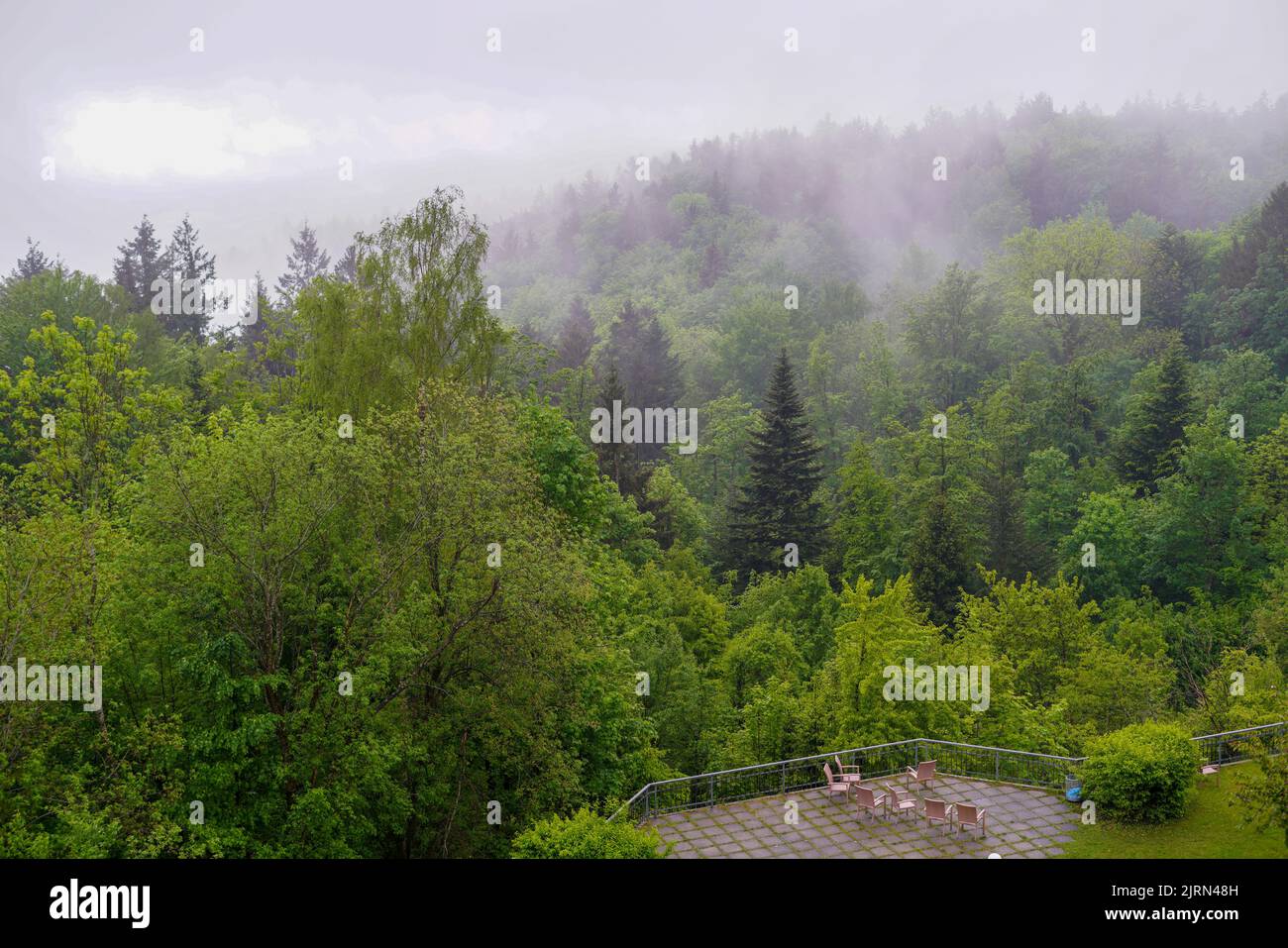 Landscape photos of German forest photographed in Bavaria Nature Park ...