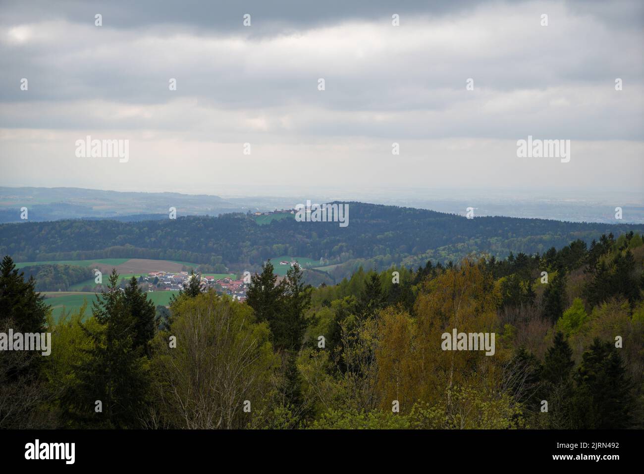 Landscape photos of German forest photographed in Bavaria Nature Park ...