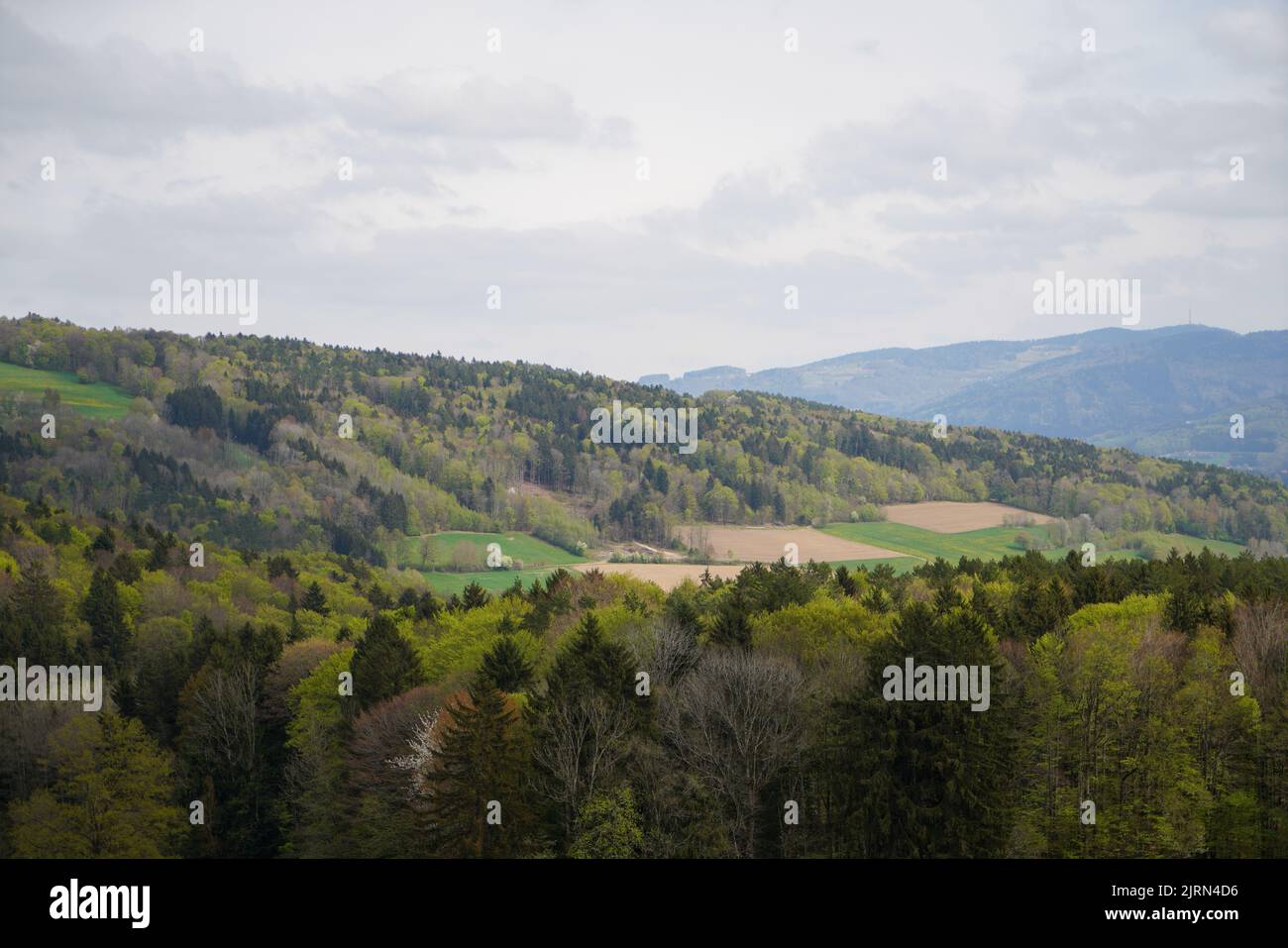 Landscape photos of German forest photographed in Bavaria Nature Park ...