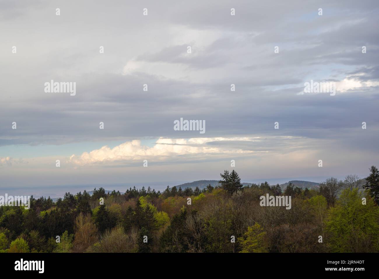 Landscape photos of German forest photographed in Bavaria Nature Park ...