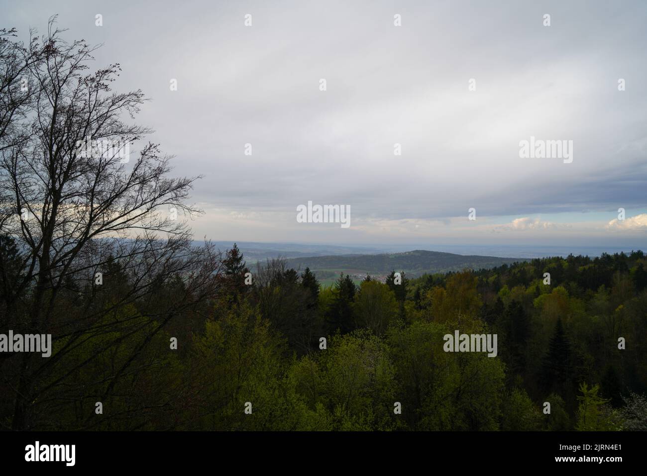 Landscape photos of German forest photographed in Bavaria Nature Park ...