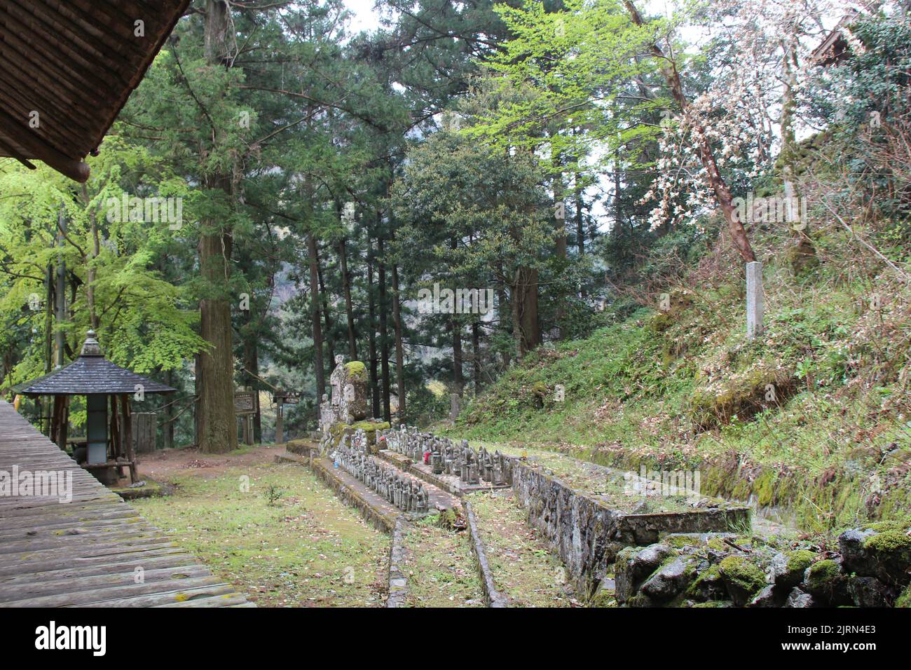 Izumo temple hi-res stock photography and images - Alamy