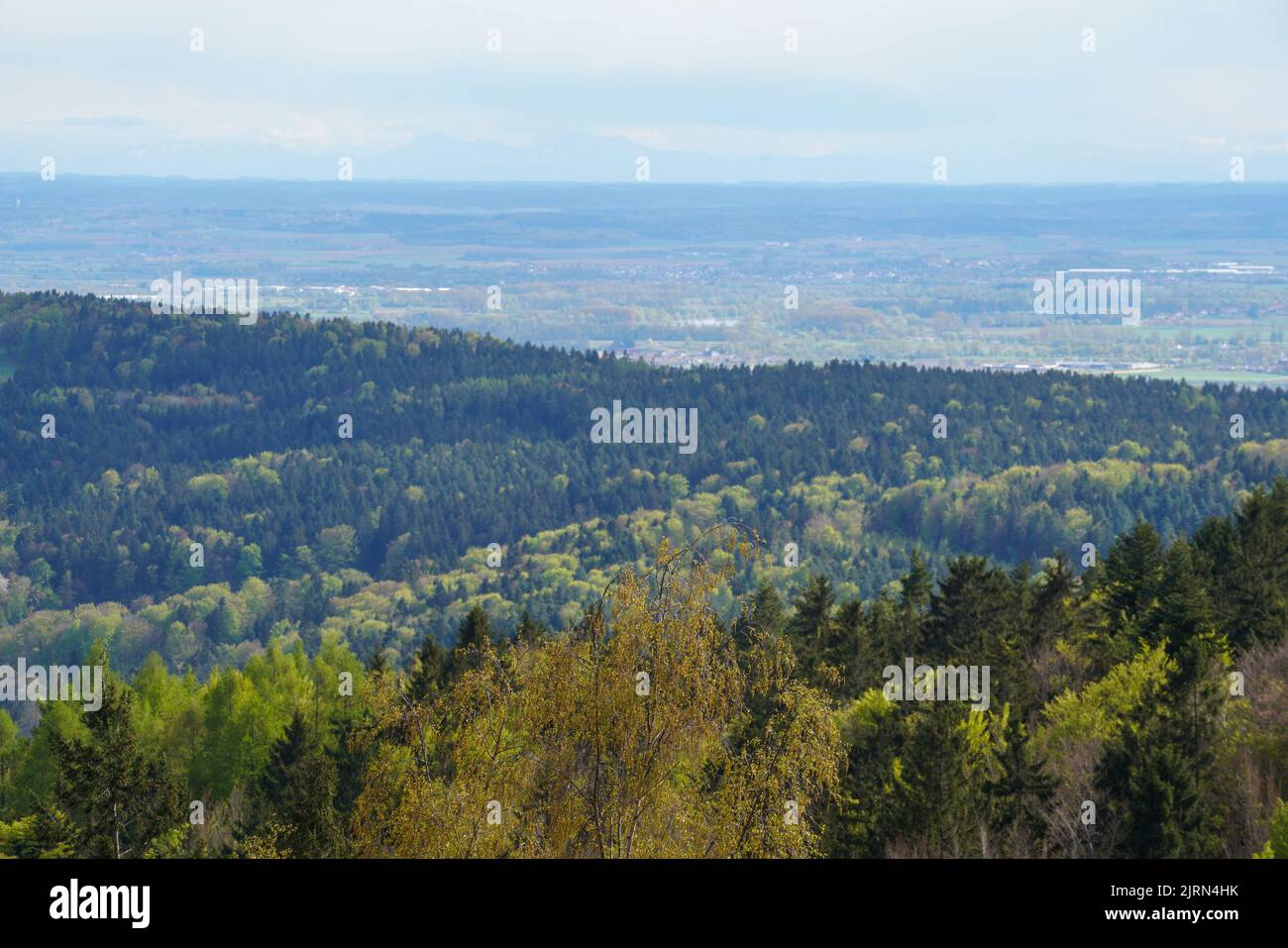 Landscape photos of German forest photographed in Bavaria Nature Park ...