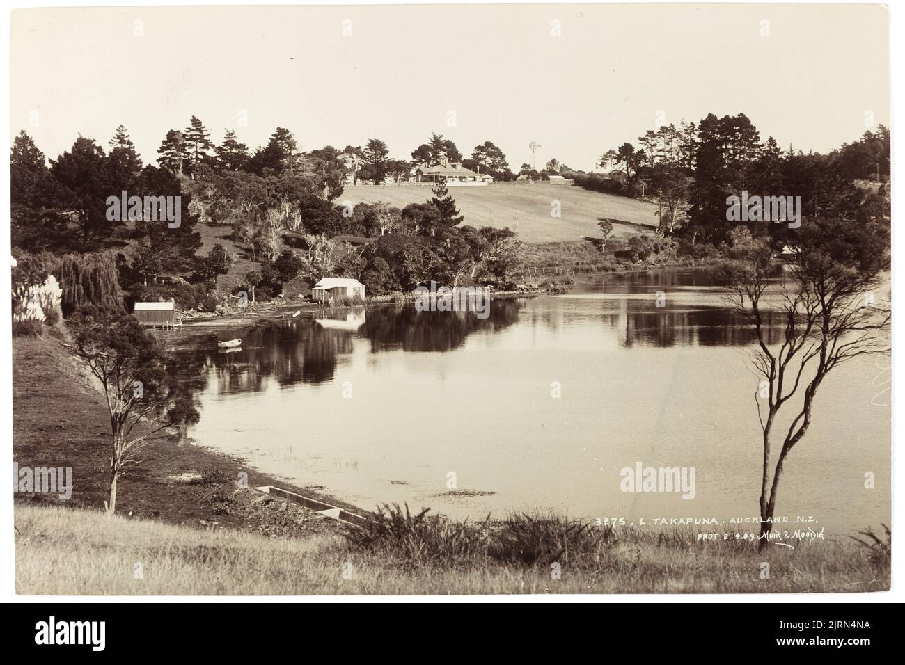 Lake Takapuna, Auckland, circa 1909, Takapuna, by Muir & Moodie Stock ...