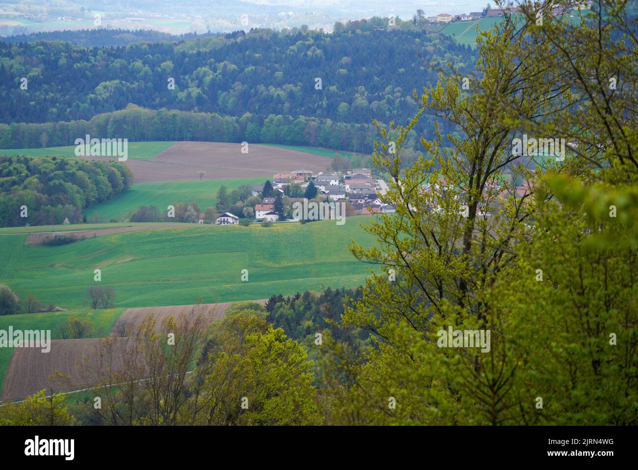 Landscape photos of German forest photographed in Bavaria Nature Park ...