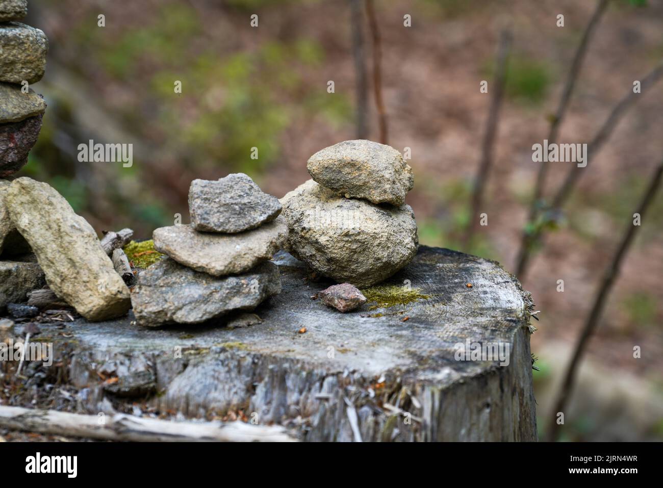 Landscape photos of German forest photographed in Bavaria Nature Park ...