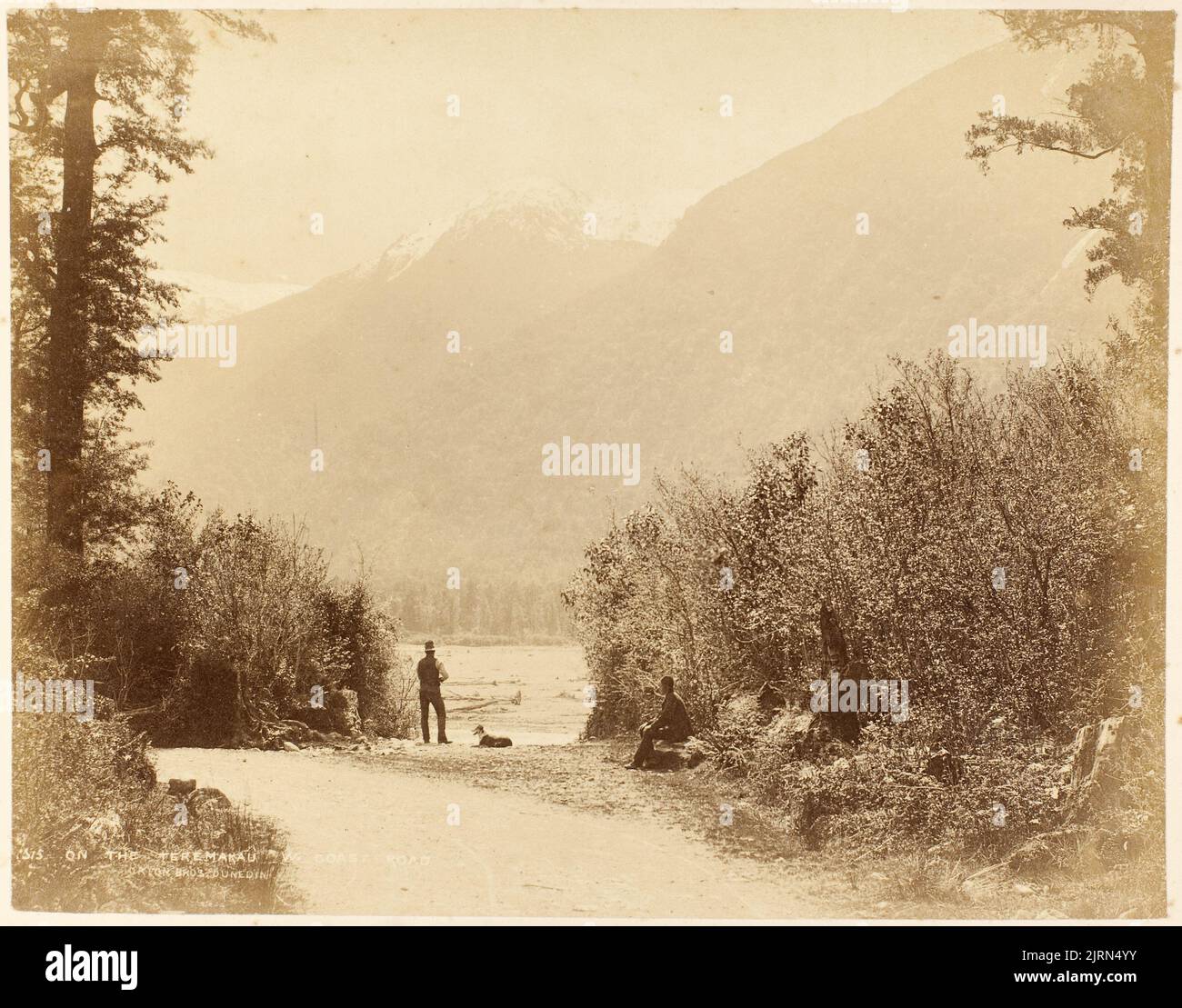 On the Teremakau - West Coast Road. From the album: N.Z. Scenery, circa ...