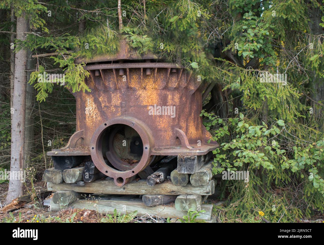 A rusty old steam donkey from the time of ore extraction covered by ...