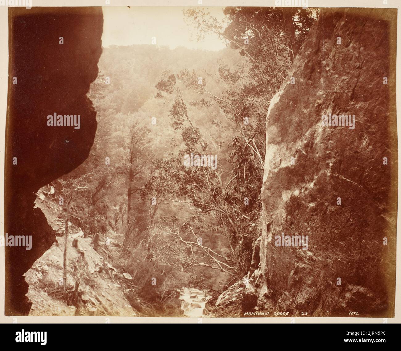 Mokihinui Gorge. From the album: Untitled landscape, circa 1880, West ...