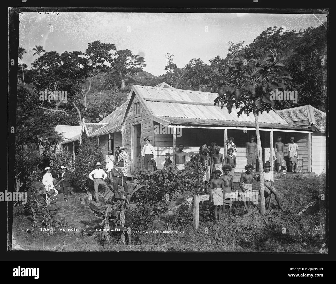 The Hospital, Levuka, Fiji, June 1884, New Zealand, by Burton Brothers ...