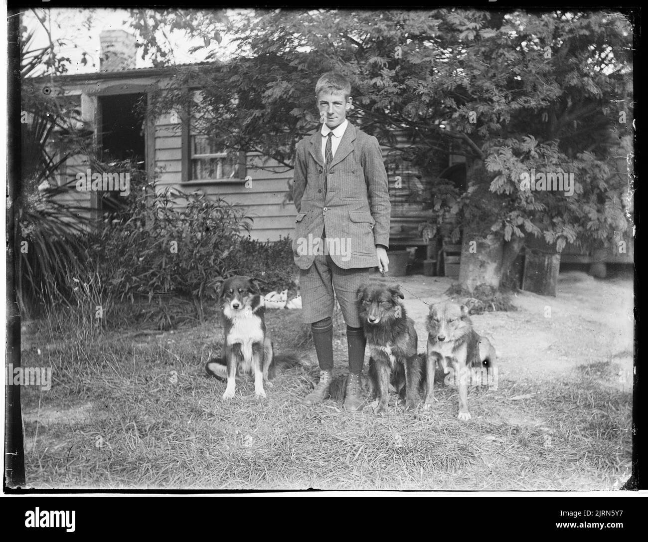 Dogs house Black and White Stock Photos & Images - Alamy