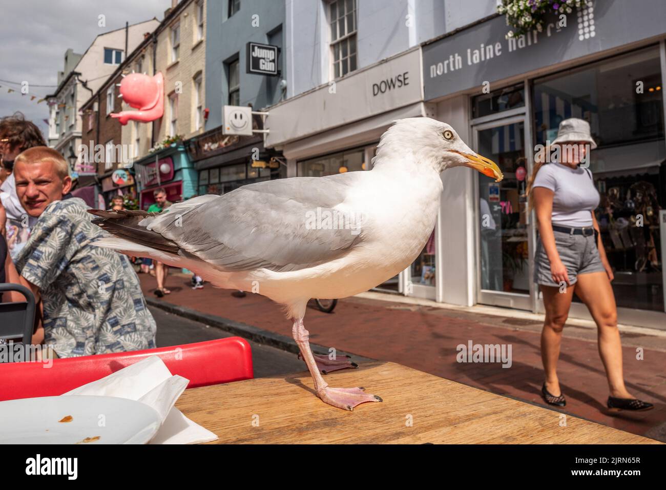 Brighton, August 20th 2022: The North Laine area of Brighton Stock ...
