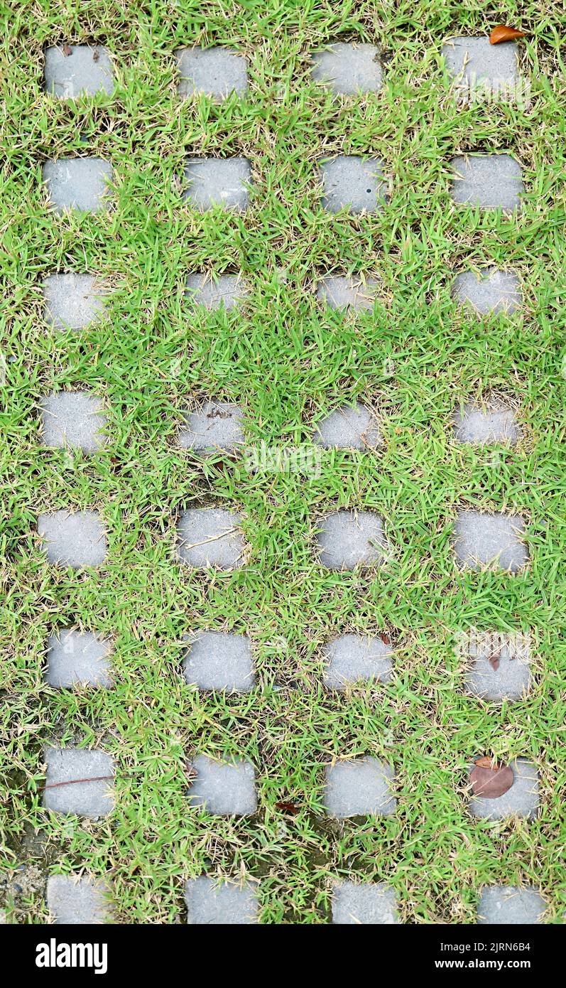 Top View of Turf Stone Paver with Green Grasses Stock Photo - Alamy