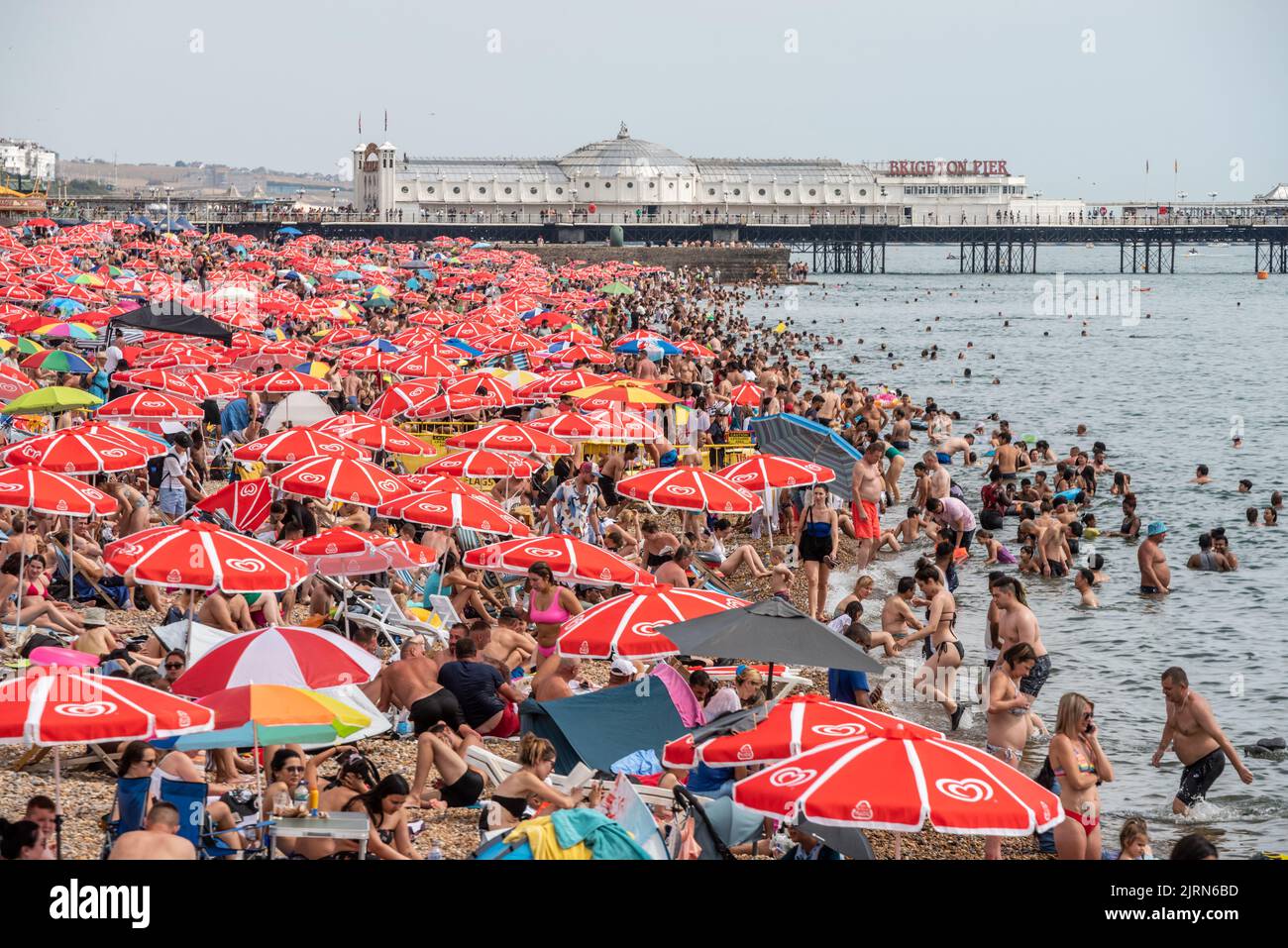 Brighton, August 14th 2022: Record temperatures during the current ...