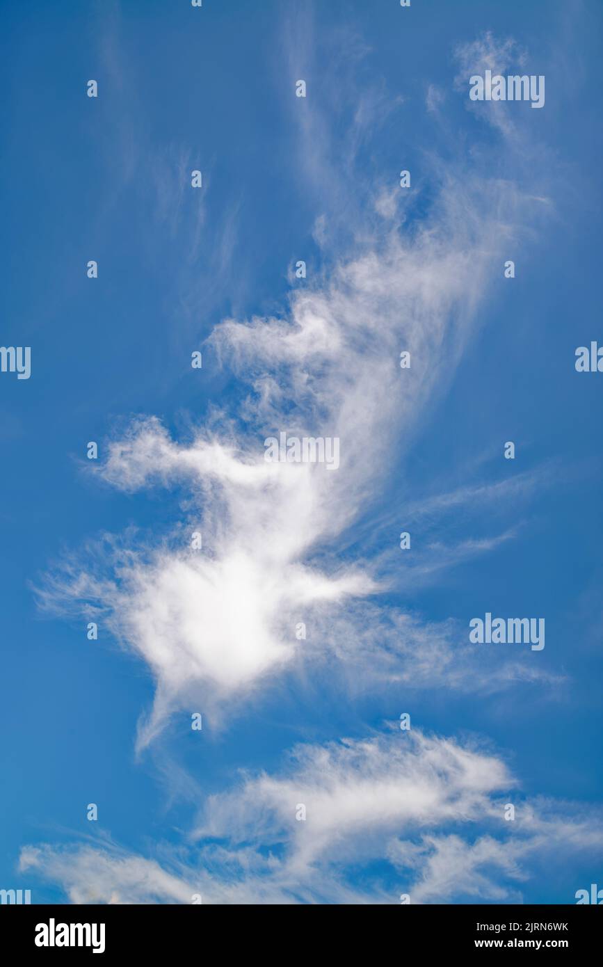 Random abstract irregular shapes formed by wispy high altitude white ...