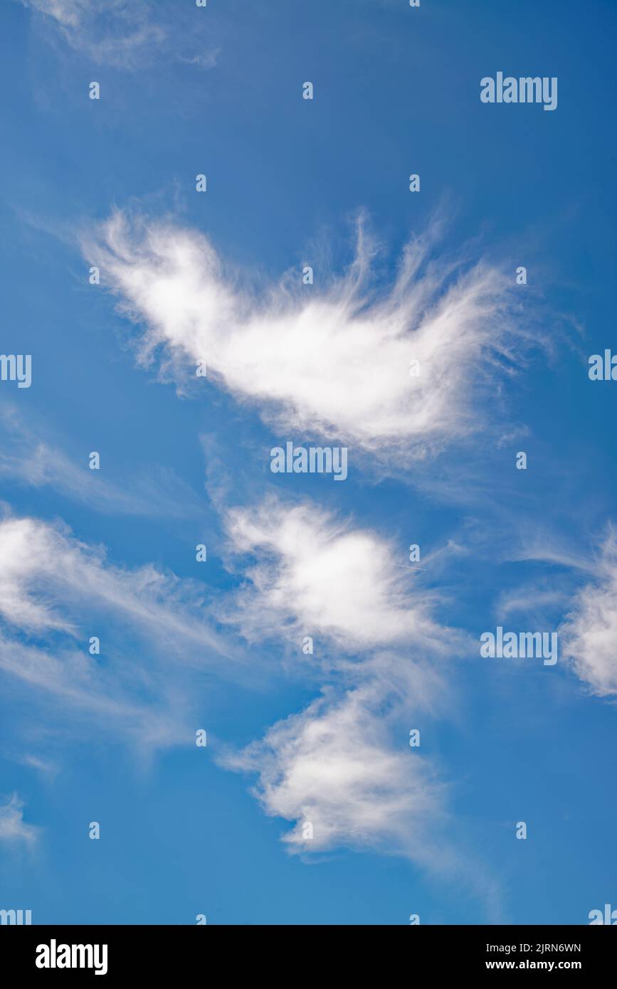 Random abstract irregular shapes formed by wispy high altitude white ...