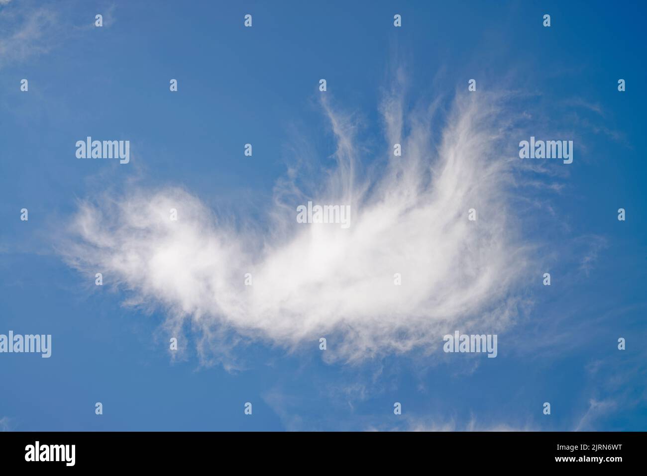 Random occurrence hi-res stock photography and images - Alamy