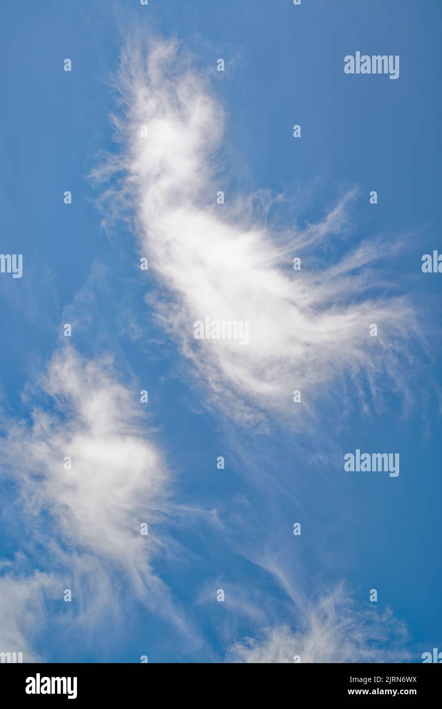 Irregular shapes hi-res stock photography and images - Alamy