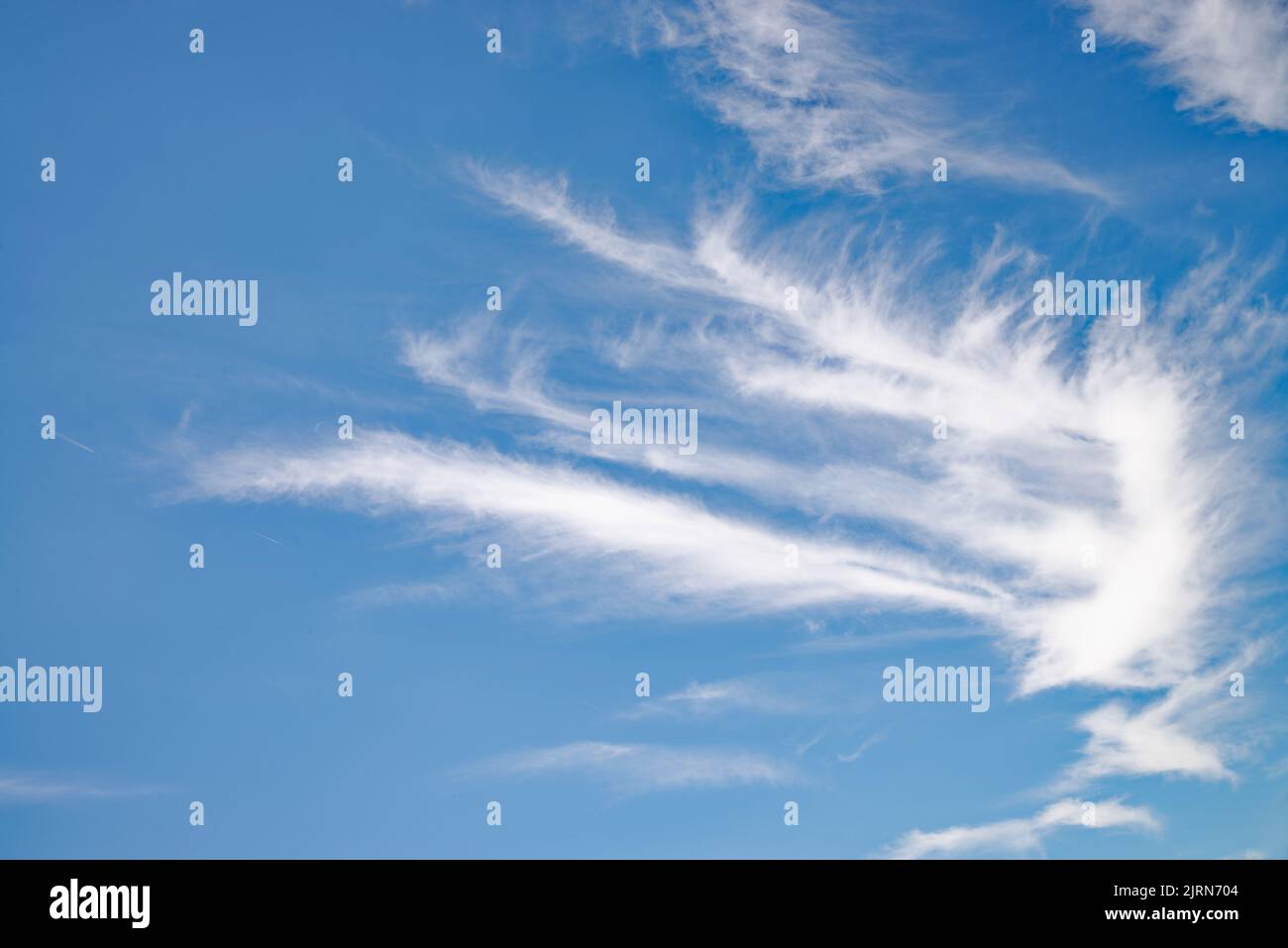 Random abstract irregular shapes formed by wispy high altitude white ...