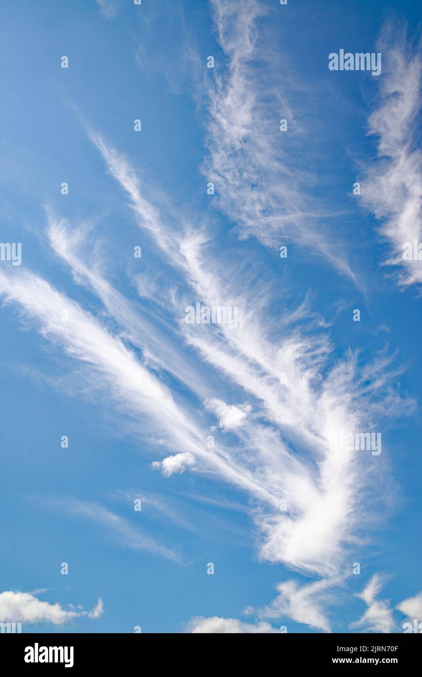 Random abstract irregular shapes formed by wispy high altitude white clouds against a deep blue ...