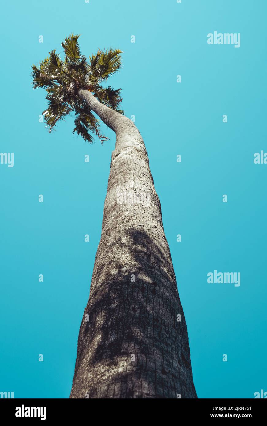 West coast vibe hi-res stock photography and images - Alamy