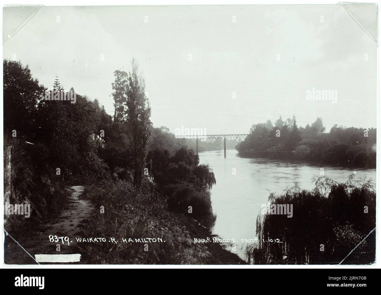 Waikato River, Hamilton, 1912, Hamilton, by Muir & Moodie Stock Photo ...