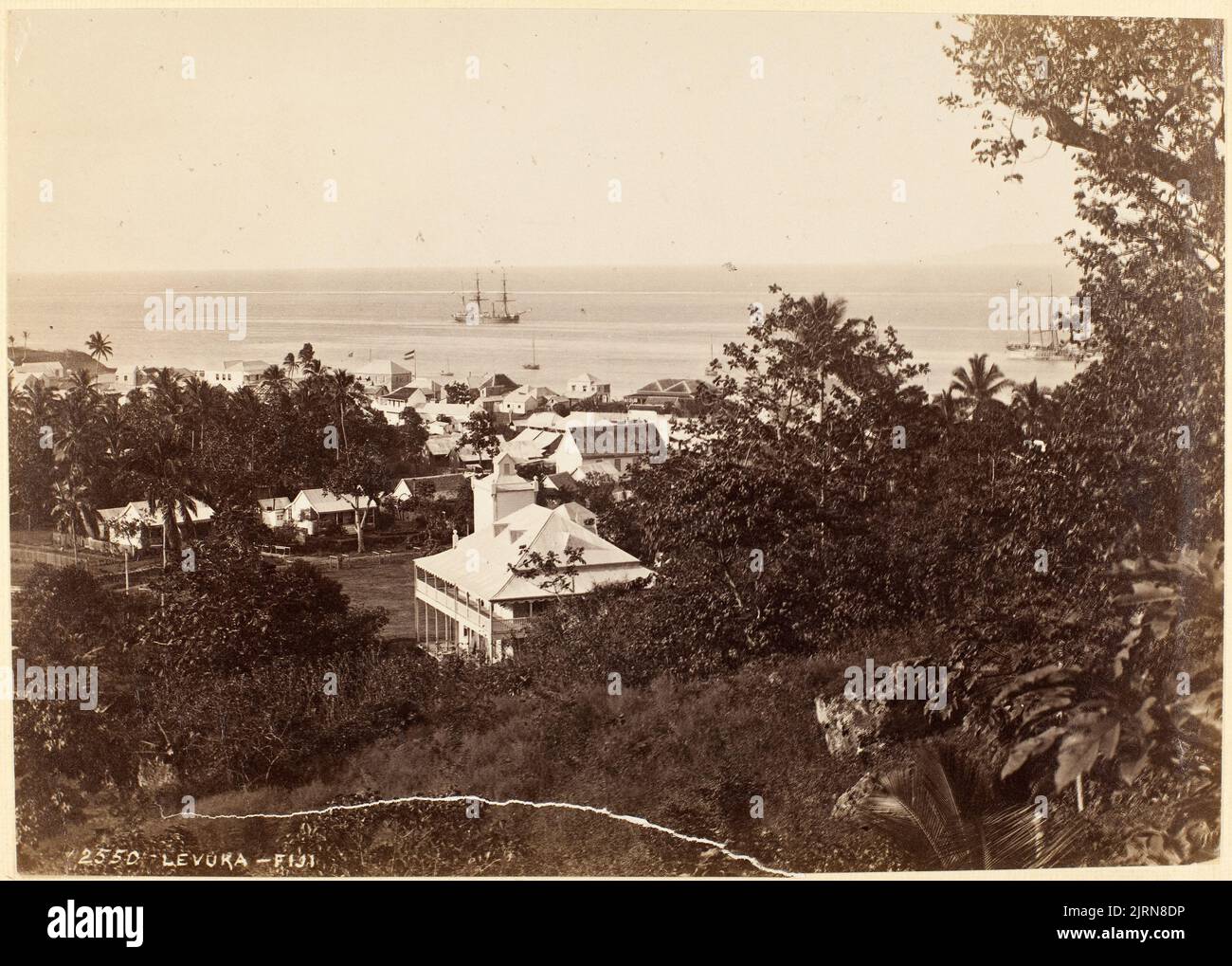Levuka - Fiji, Dunedin, by Burton Brothers Stock Photo - Alamy