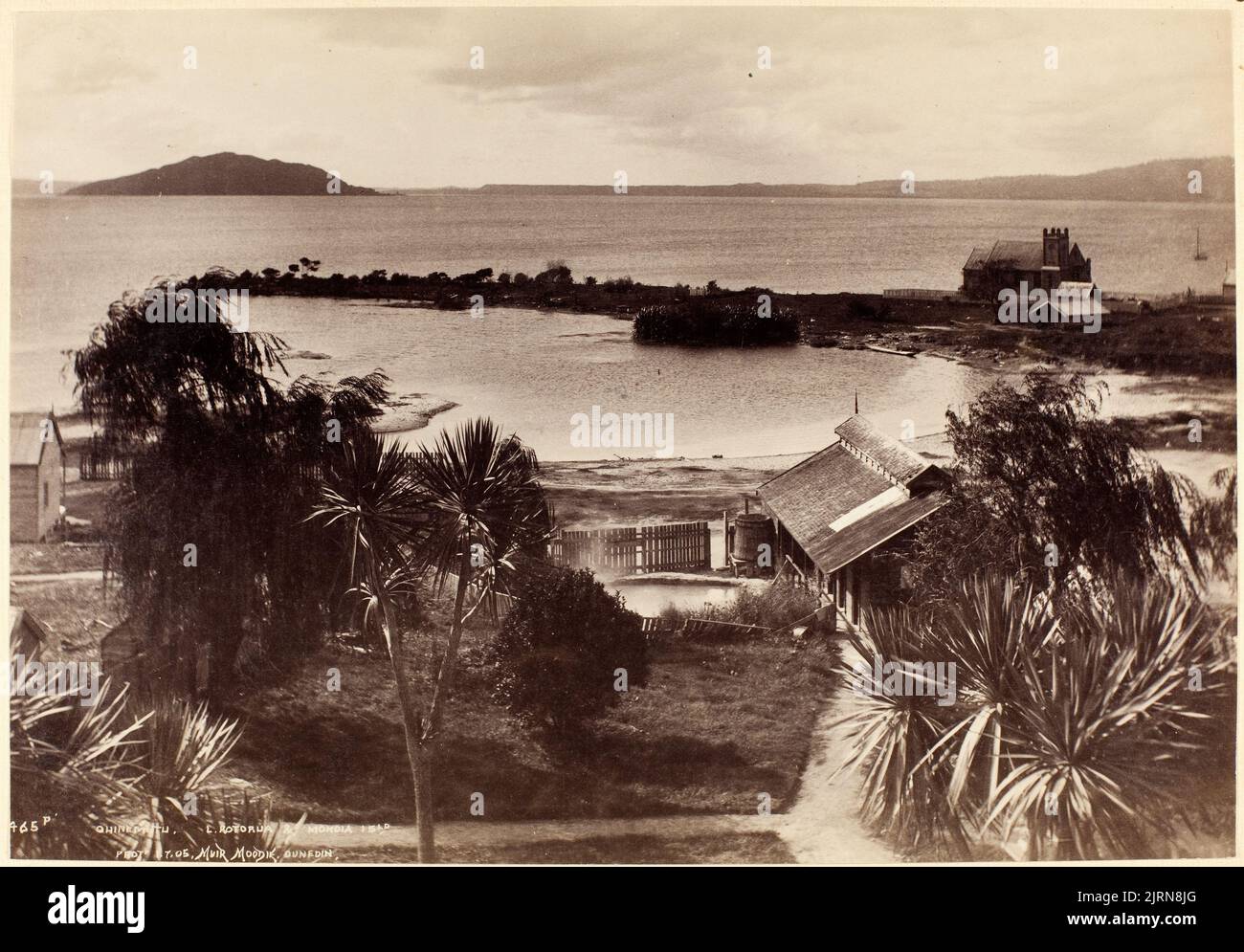 Rotorua mokoia island hi-res stock photography and images - Alamy