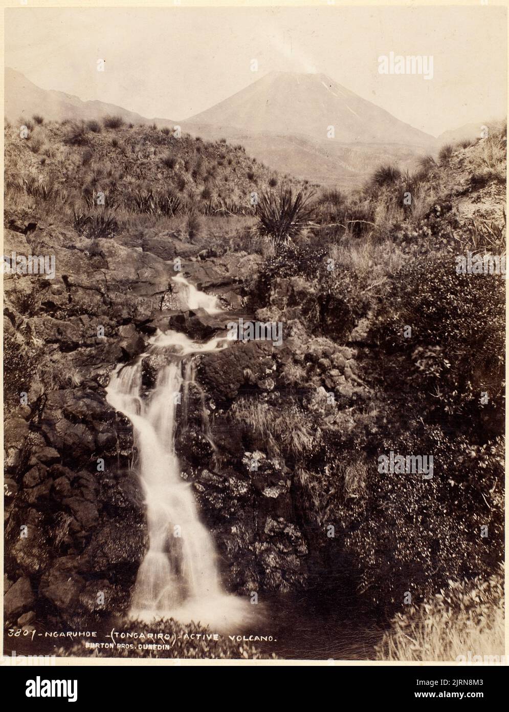 Ngaruhoe [sic] - (Tongariro) Active Volcano, Late nineteenth century or ...