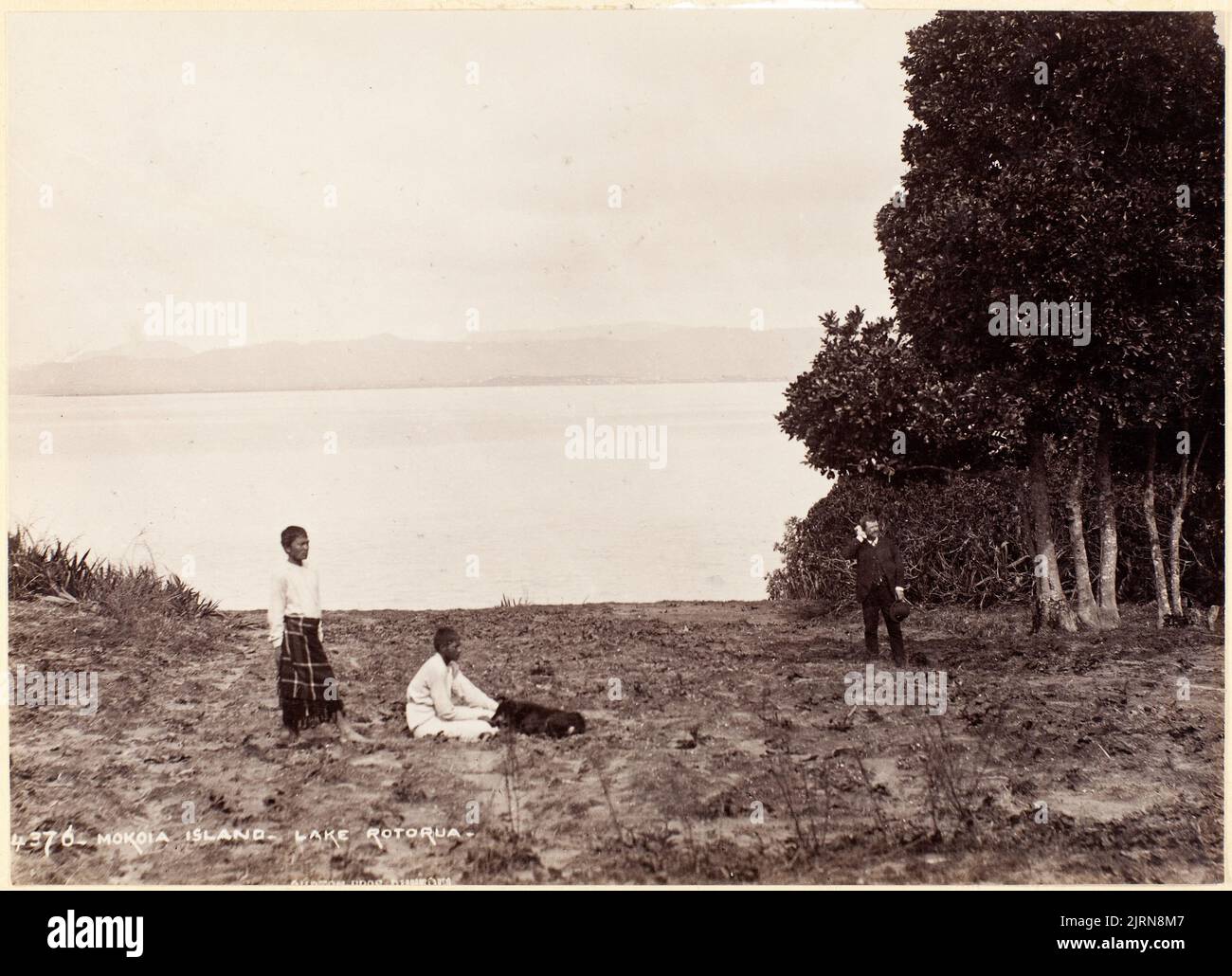 Rotorua mokoia island hi-res stock photography and images - Alamy