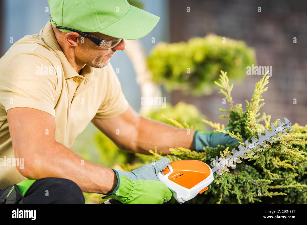Garden Worker Trimming Shaping Decorative Tree Using Small Cordless ...