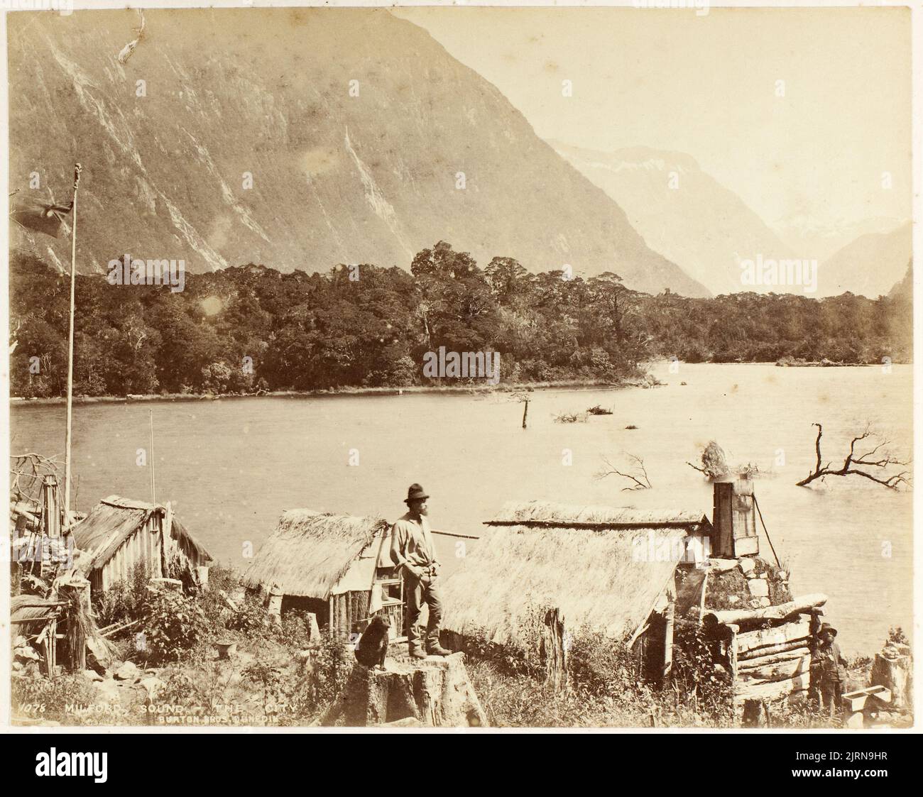 Milford Sound - The "City", 1882, Dunedin, by Burton Brothers, Alfred ...