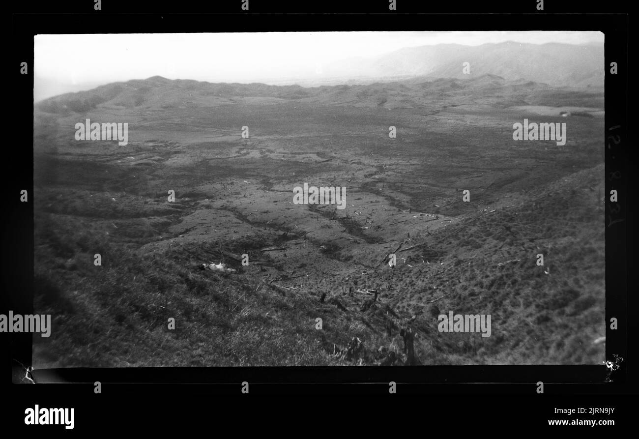 Streams on flat from SW corner of The Heights basin showing contrast ...
