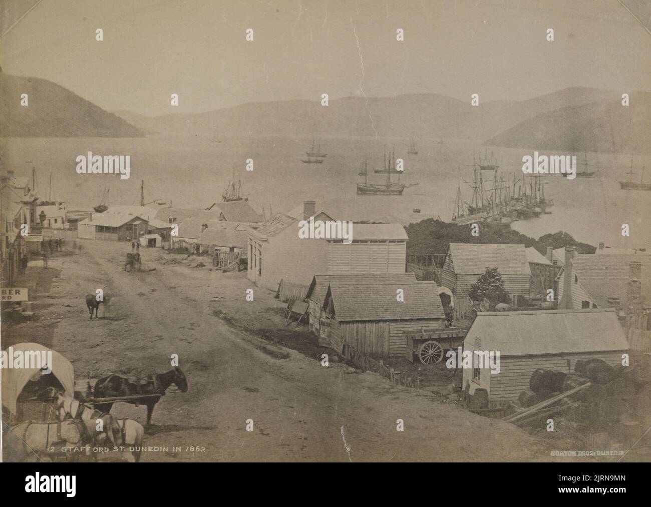 Dunedin in 1862 stafford street hi-res stock photography and images - Alamy
