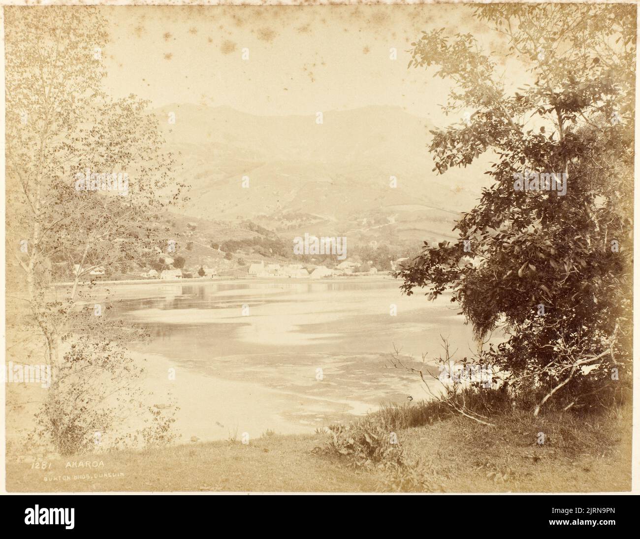 Akaroa from the album hi-res stock photography and images - Alamy