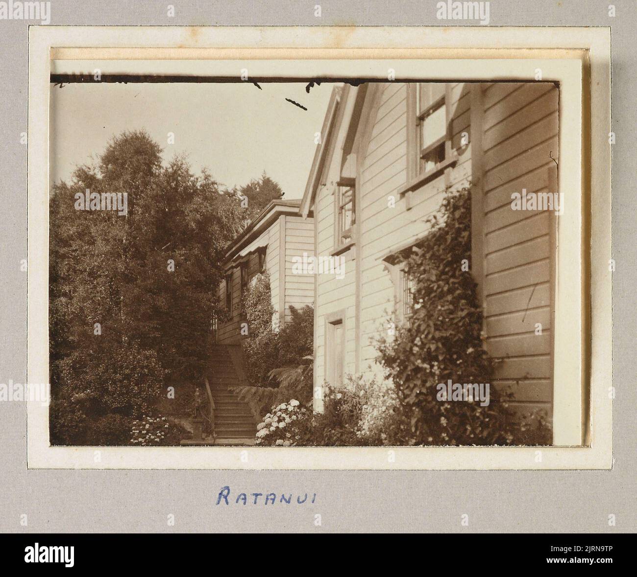 Ratanui hi-res stock photography and images - Alamy