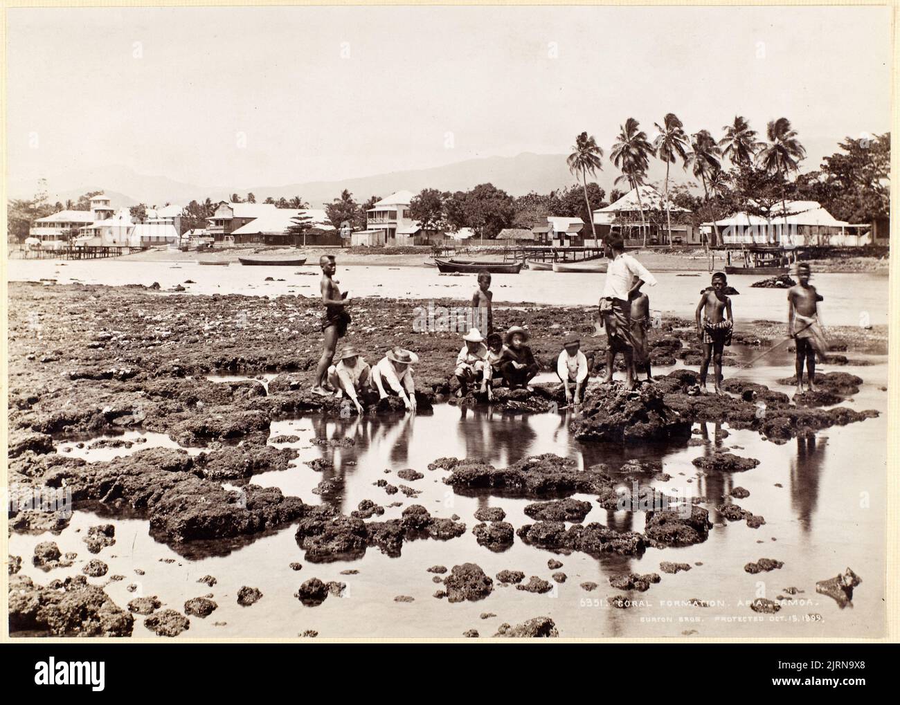 Samoa coral formation hi-res stock photography and images - Alamy
