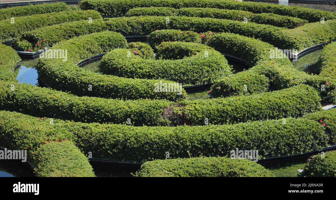 An aerial view of greenery hedge maze surrounded by water Stock Photo ...