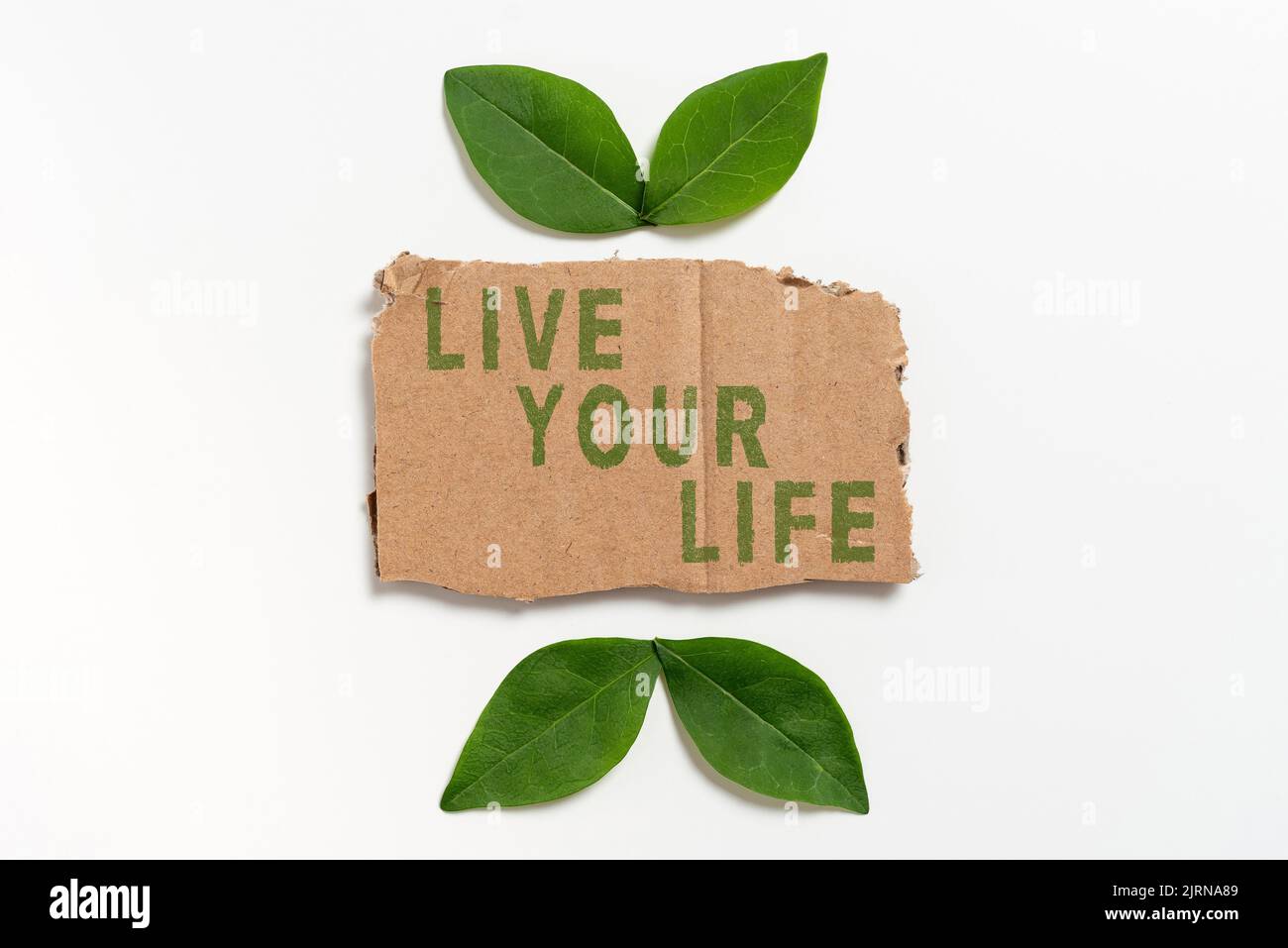 Conceptual caption Live Your Life. Business concept Motivation ...