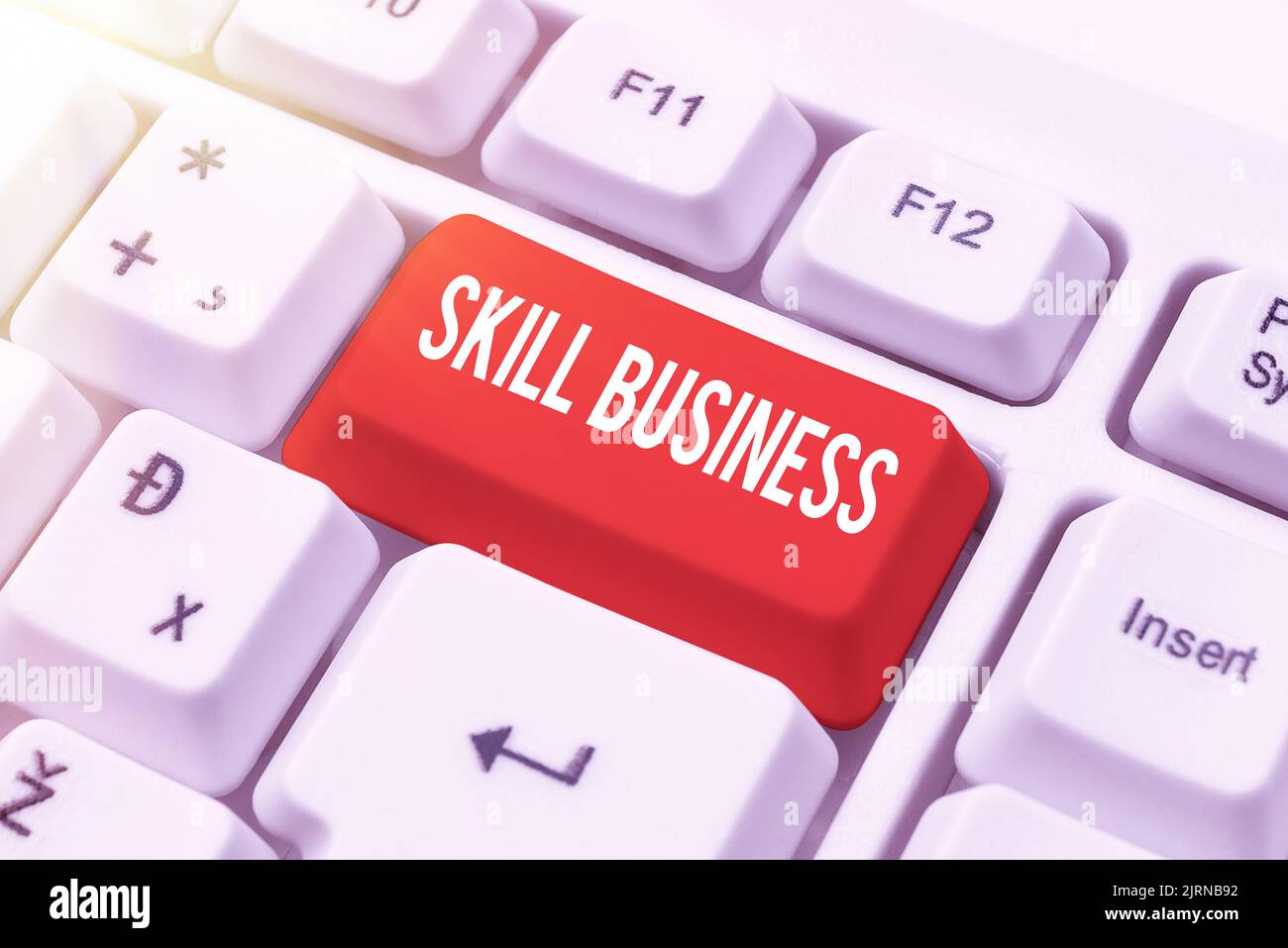 Conceptual display Skill BusinessAbility to handle business venture ... Conceptual display Skill BusinessAbility to handle business venture ...