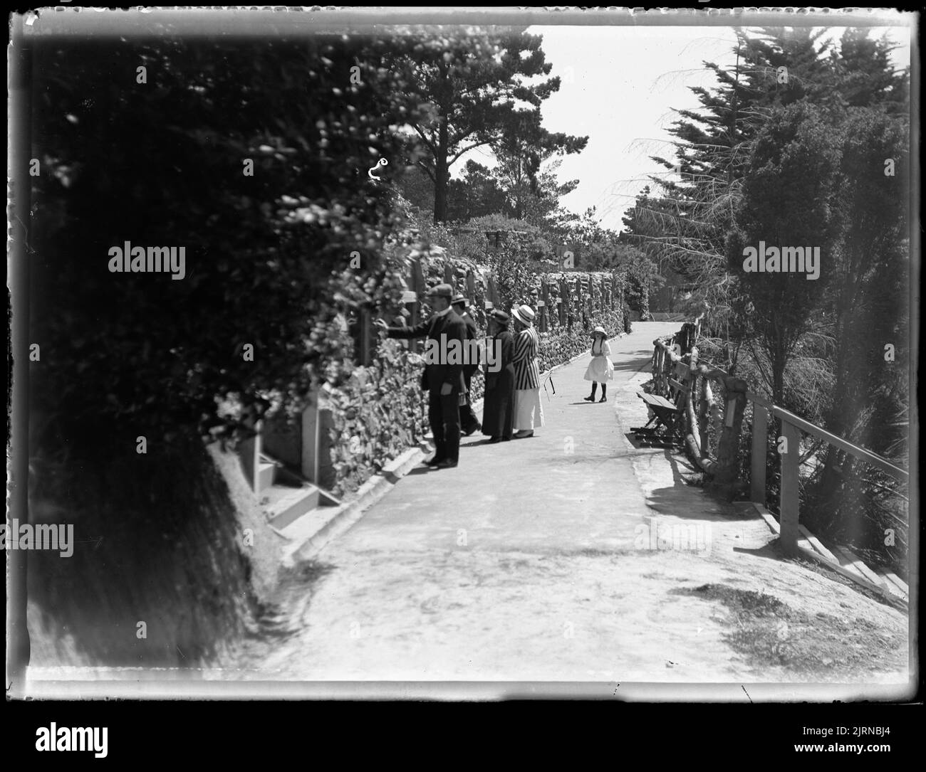 The aquarium , 28 November 1915, by Leslie Adkin. Gift of G. L. Adkin ...