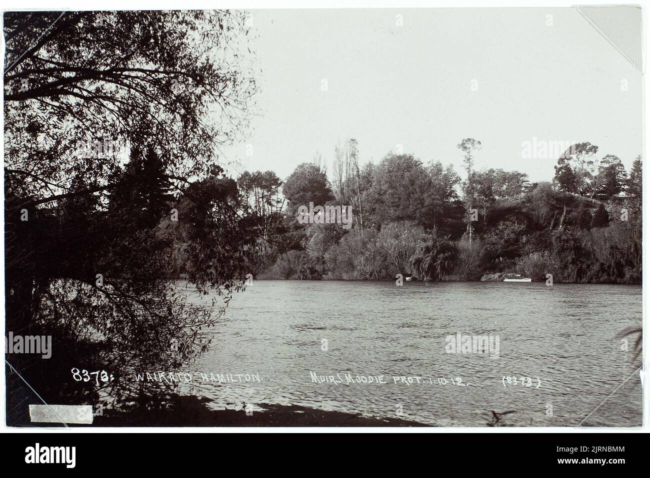 Waikato River, Hamilton, 1912, Hamilton, by Muir & Moodie Stock Photo ...
