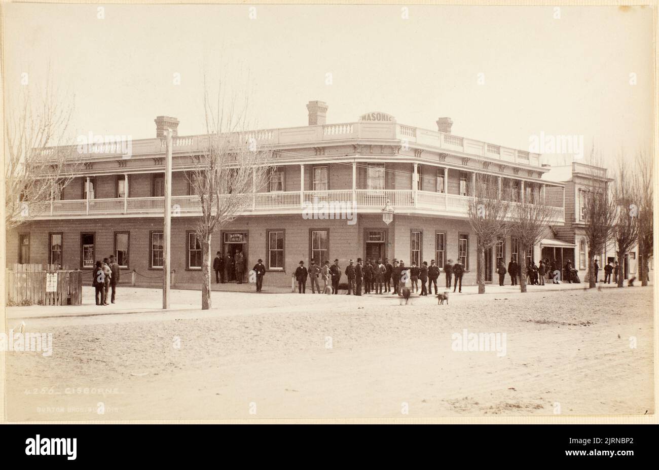 Gisborne, Late nineteenth century or early twentieth century, Dunedin ...