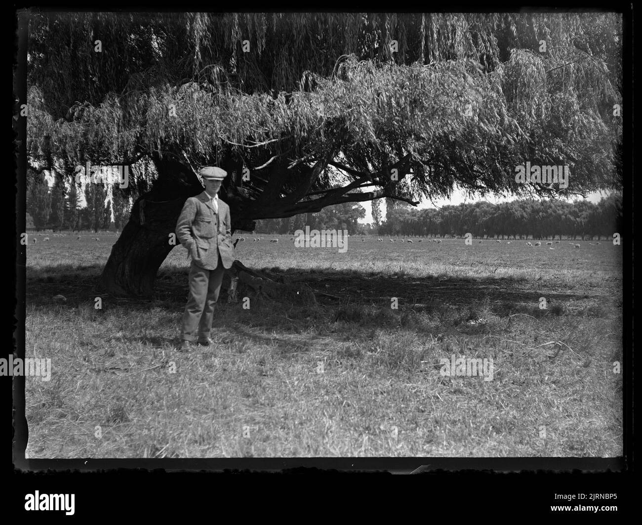A view on the farm , 27 February 1914, by Leslie Adkin. Gift of G. L ...