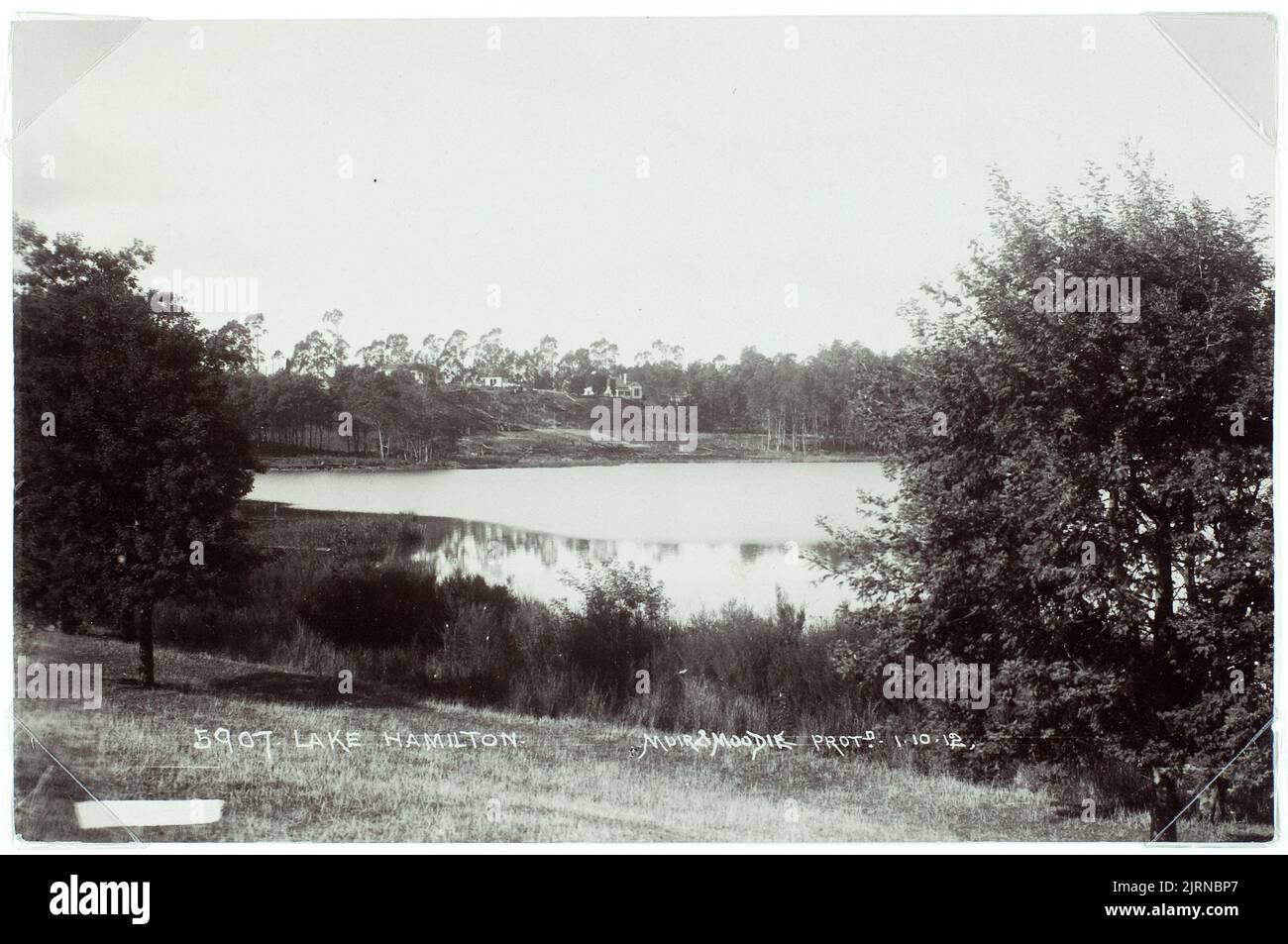 Lake Hamilton, 1912, Hamilton, by Muir & Moodie Stock Photo - Alamy