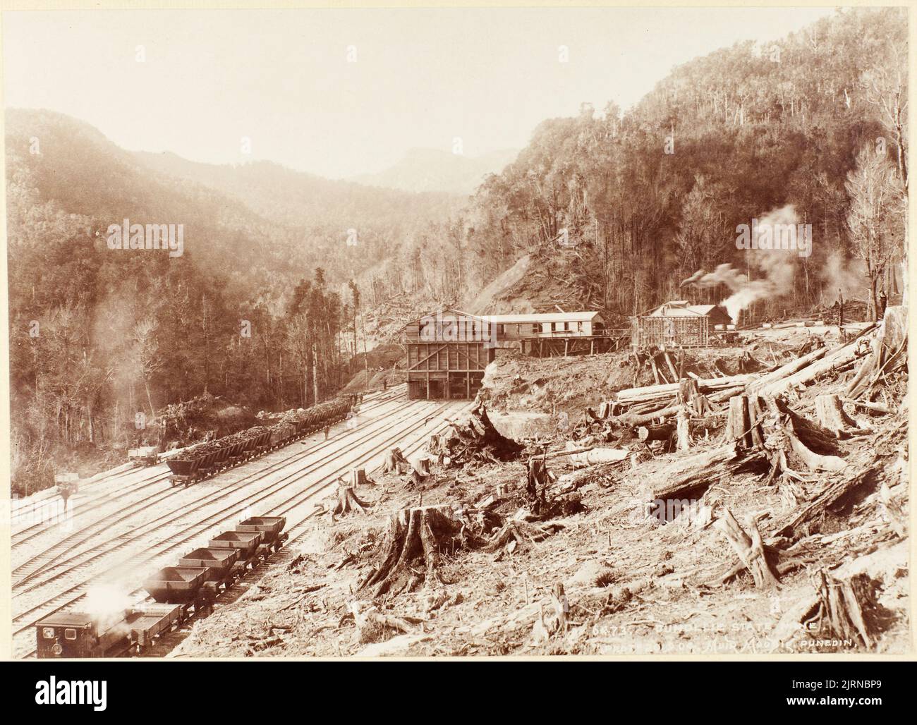 Dunollie State Mine, 1904, Dunedin, by Muir & Moodie Stock Photo - Alamy