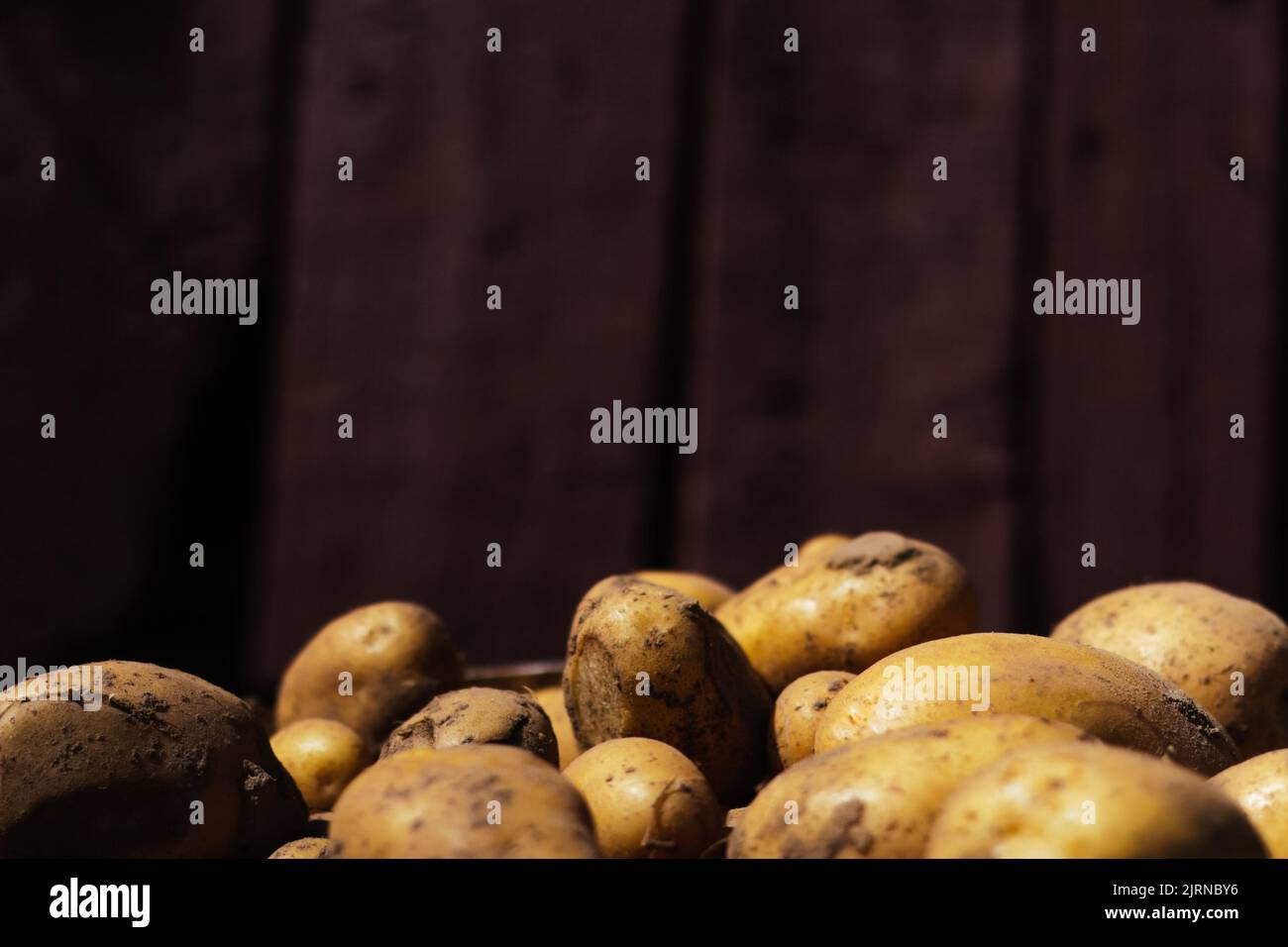 Defocus closeup yellow potato. A closeup side view of a pile of freshly ...