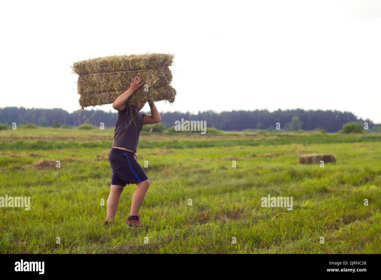 Defocus farmer carry hay stack. Portrait of a farmer going on an hay ...